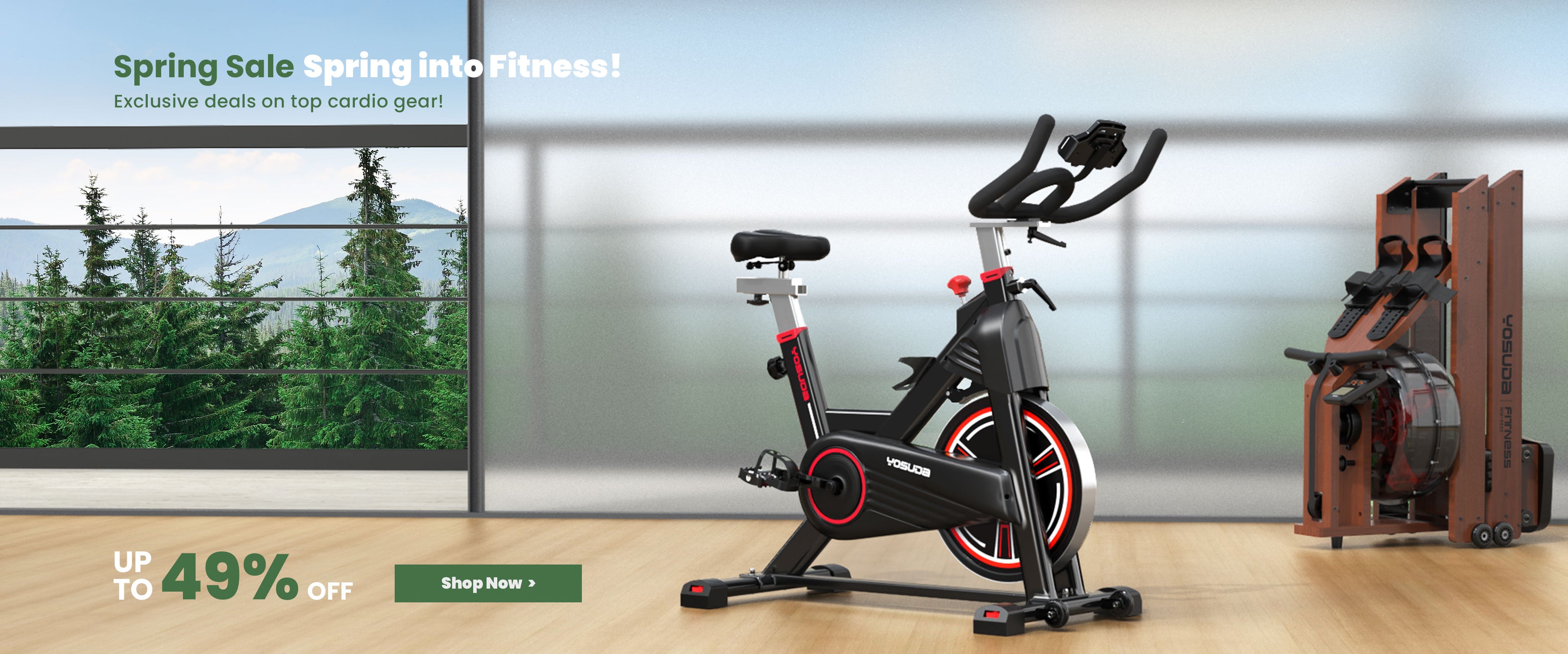YOSUDA Indoor Exercise Bikes Rowing Machine Elliptical for Home Gym ...